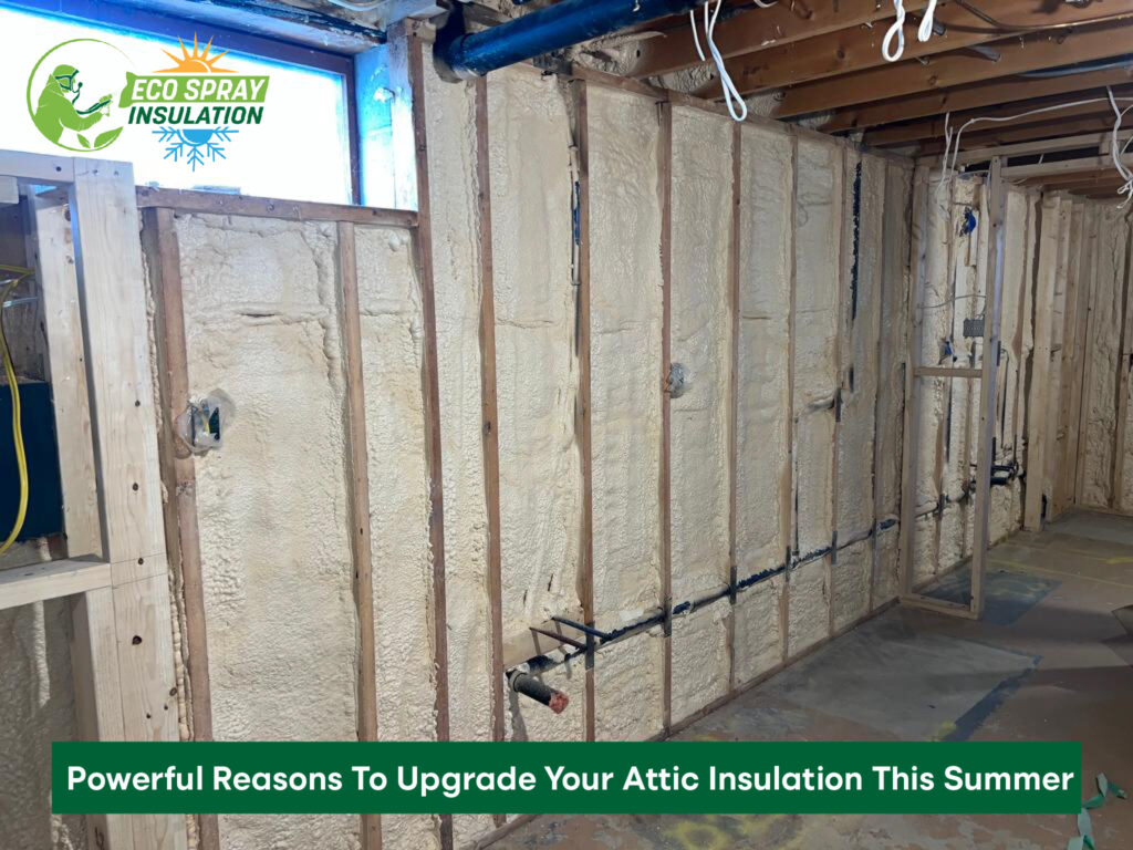 Powerful Reasons To Upgrade Your Attic Insulation This Summer | Eco ...