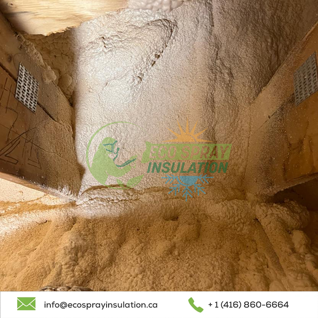 Best Spray Foam Insulation In Maple | Eco Spray Insulation